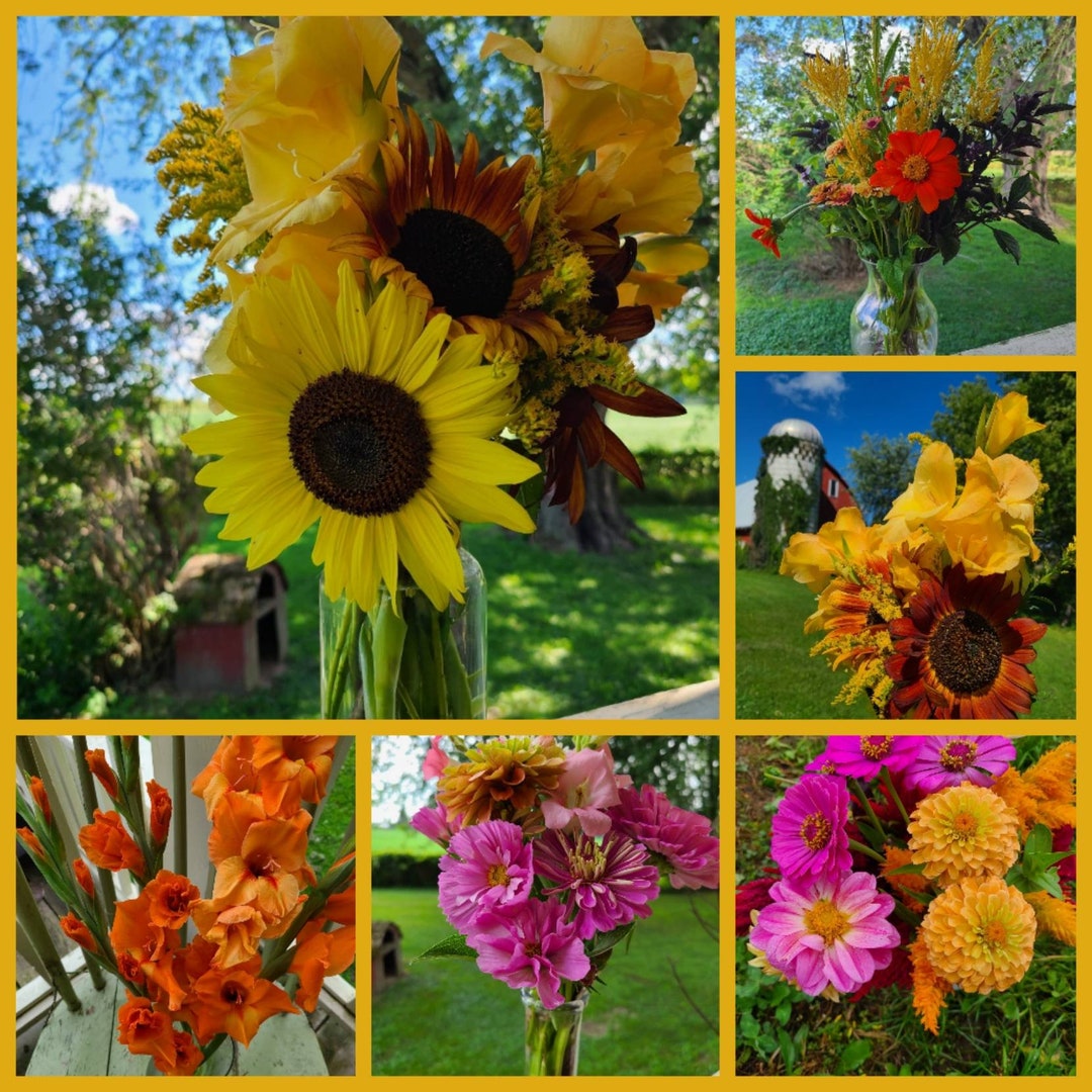 6 Week CSA Flower Subscription, Flower Delivery Service - Etsy Österreich