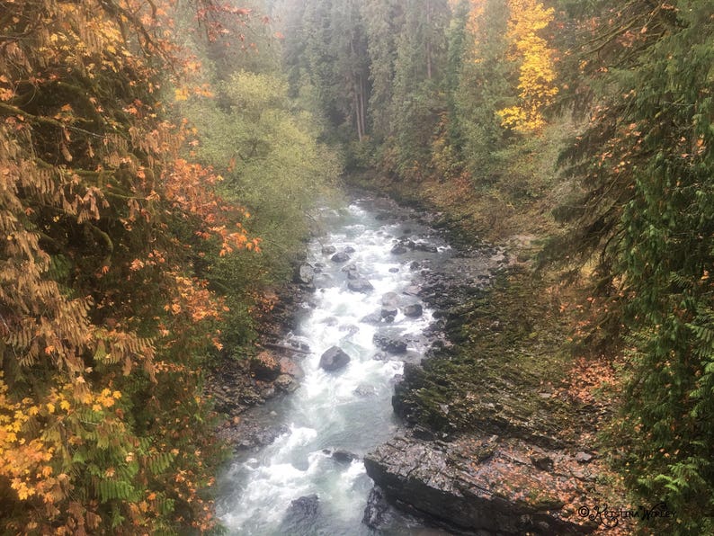 Fall in the Pacific Northwest Photograph - Etsy