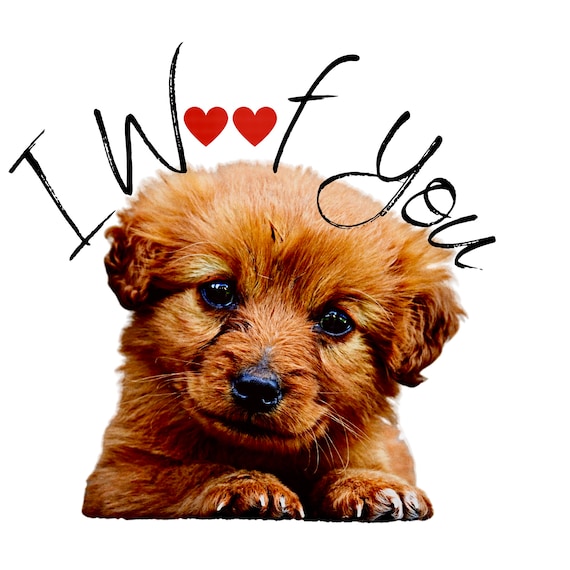 Puppy I Wuv You
