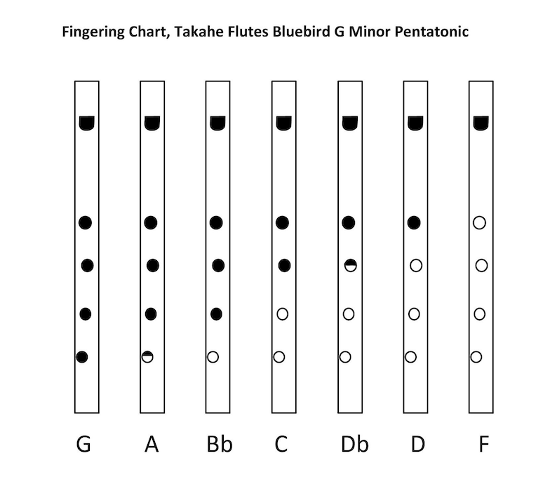 Bluebird PVC Four-hole Flute in Gm Pentatonic | Etsy
