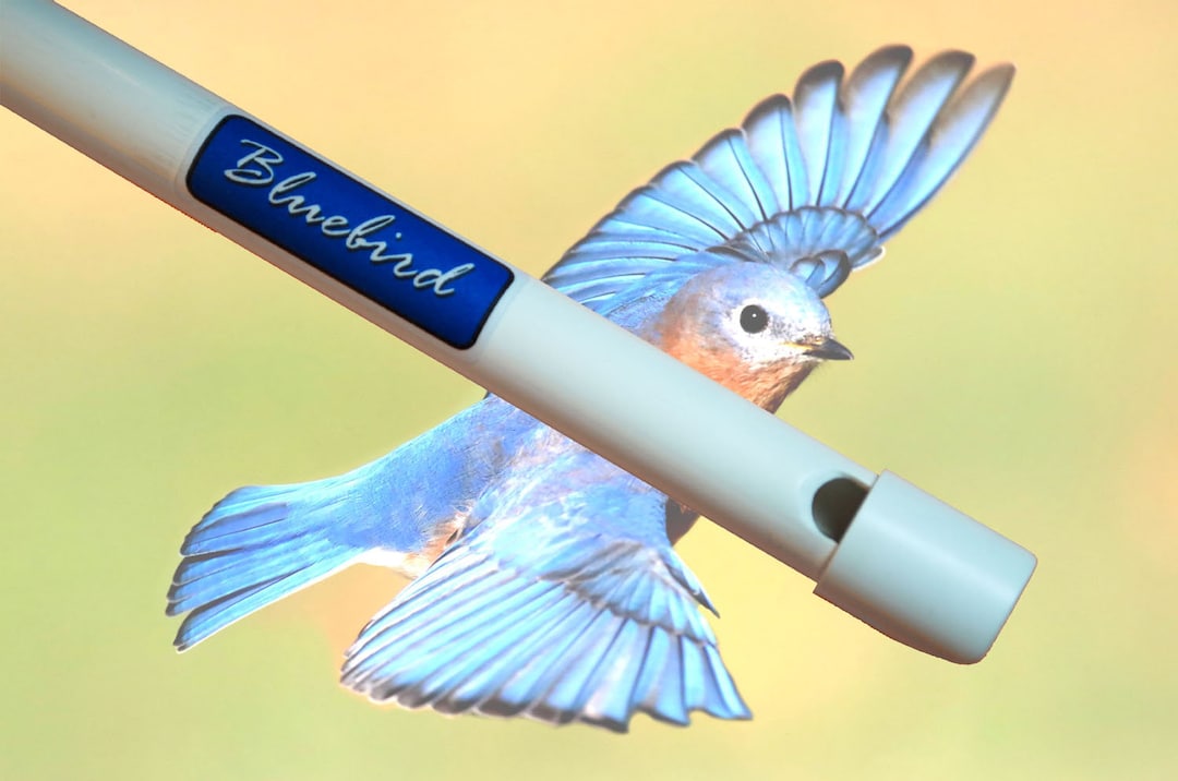Bluebird, PVC Four-hole Flute in Gm Pentatonic - Etsy