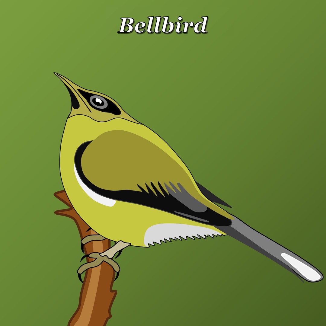 Eleven Birds, Digital Graphic Clipart Images, High Resolution PNG Files ...