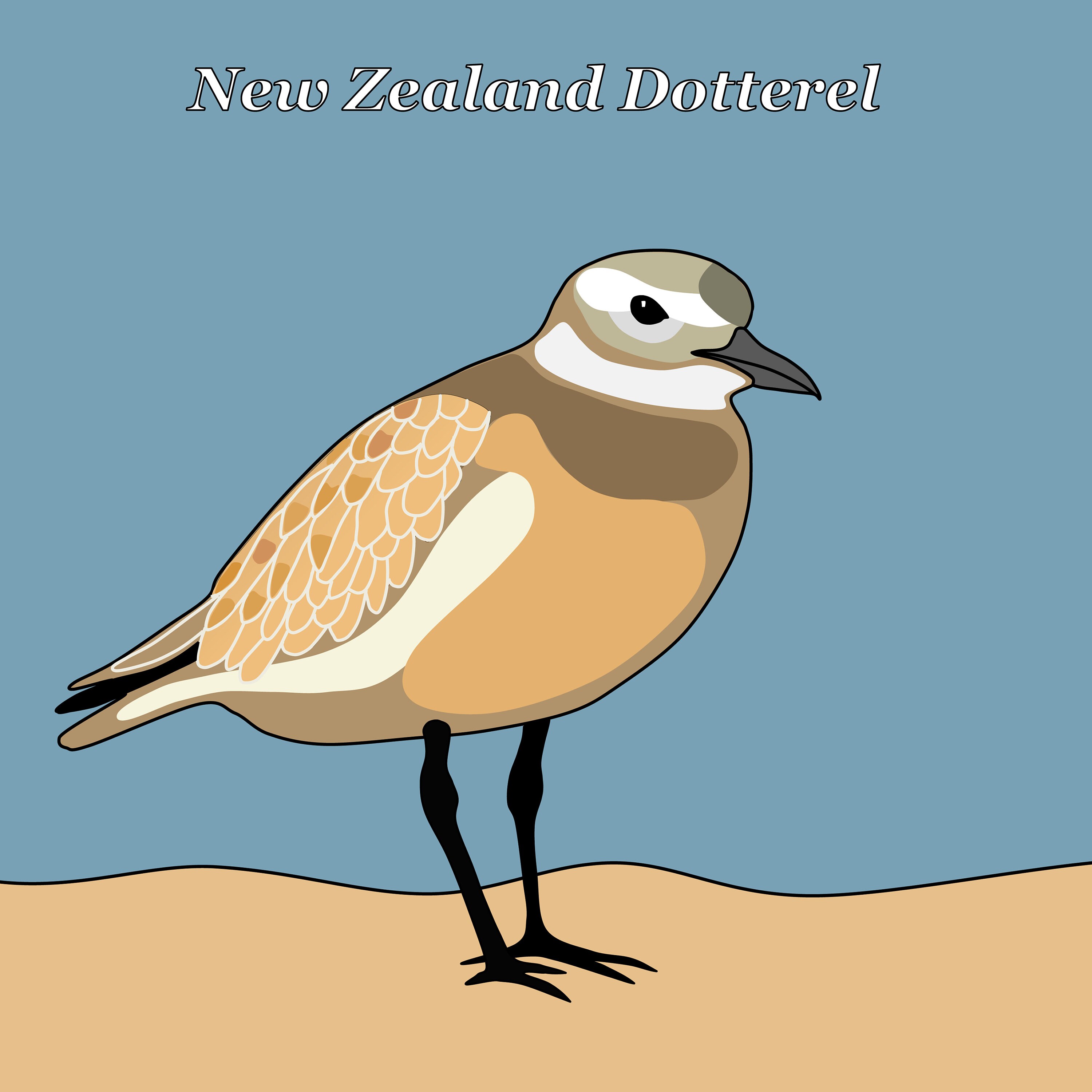 Eleven Birds, Digital Graphic Clipart Images, High Resolution PNG Files ...