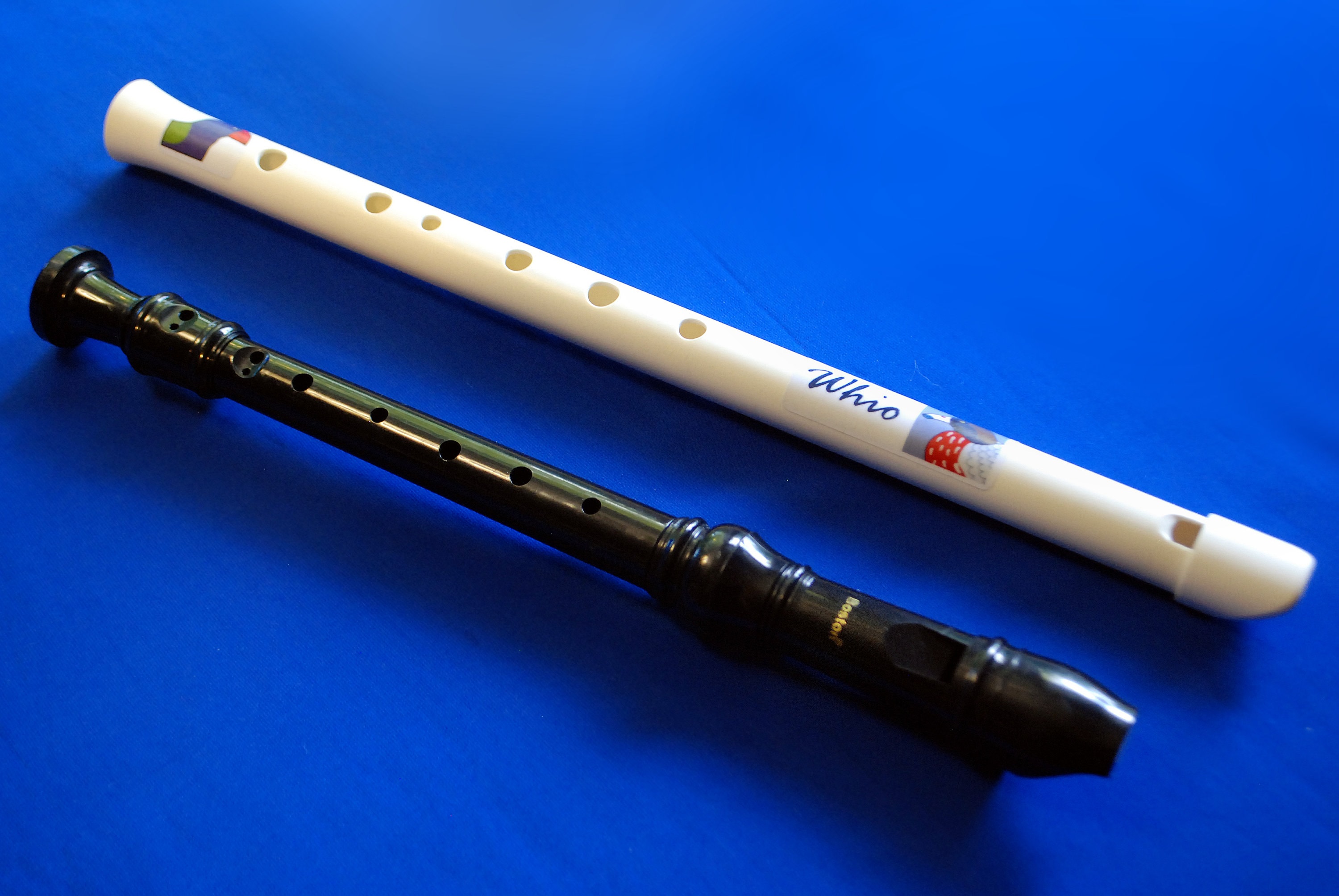 Recorder Songs Titanic