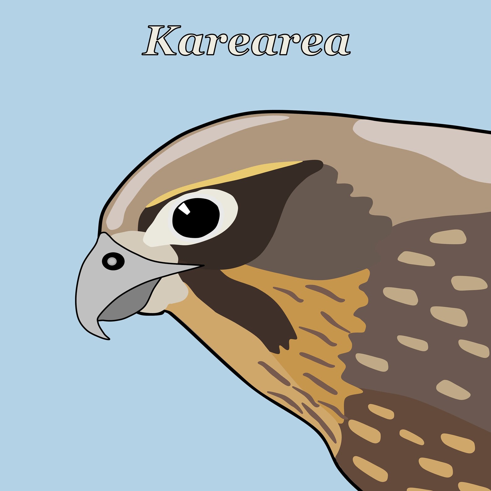 Digital Graphic Clipart Image of the Karearea, PNG and JPG Hi Res. - Etsy