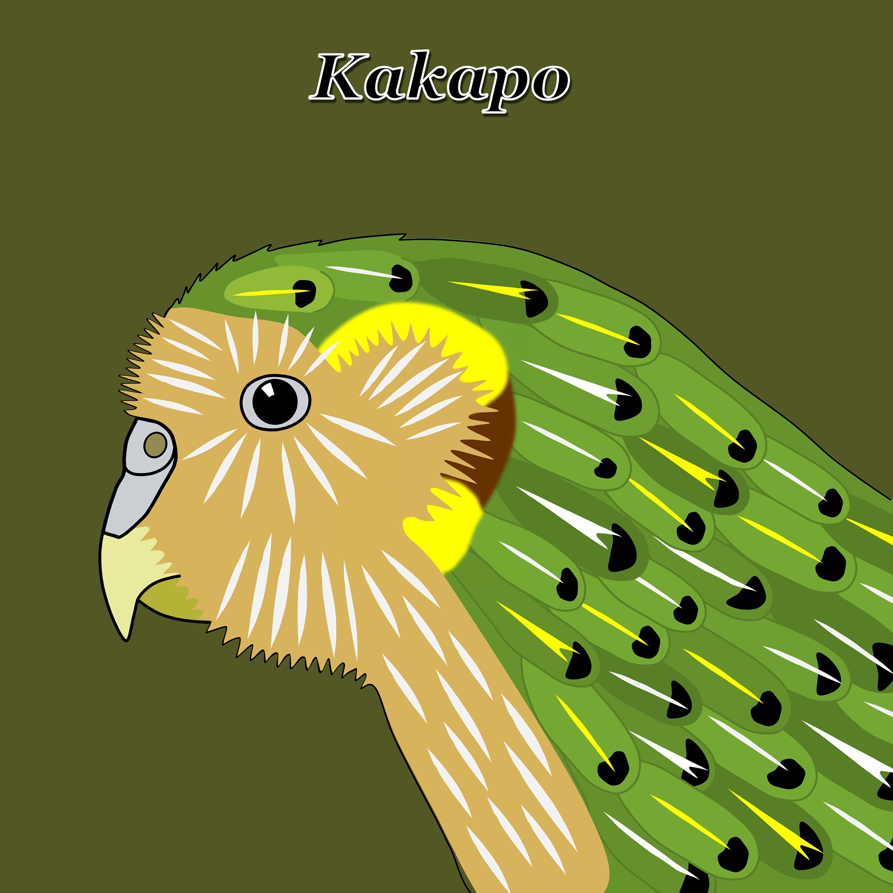 Kakapo Drawing
