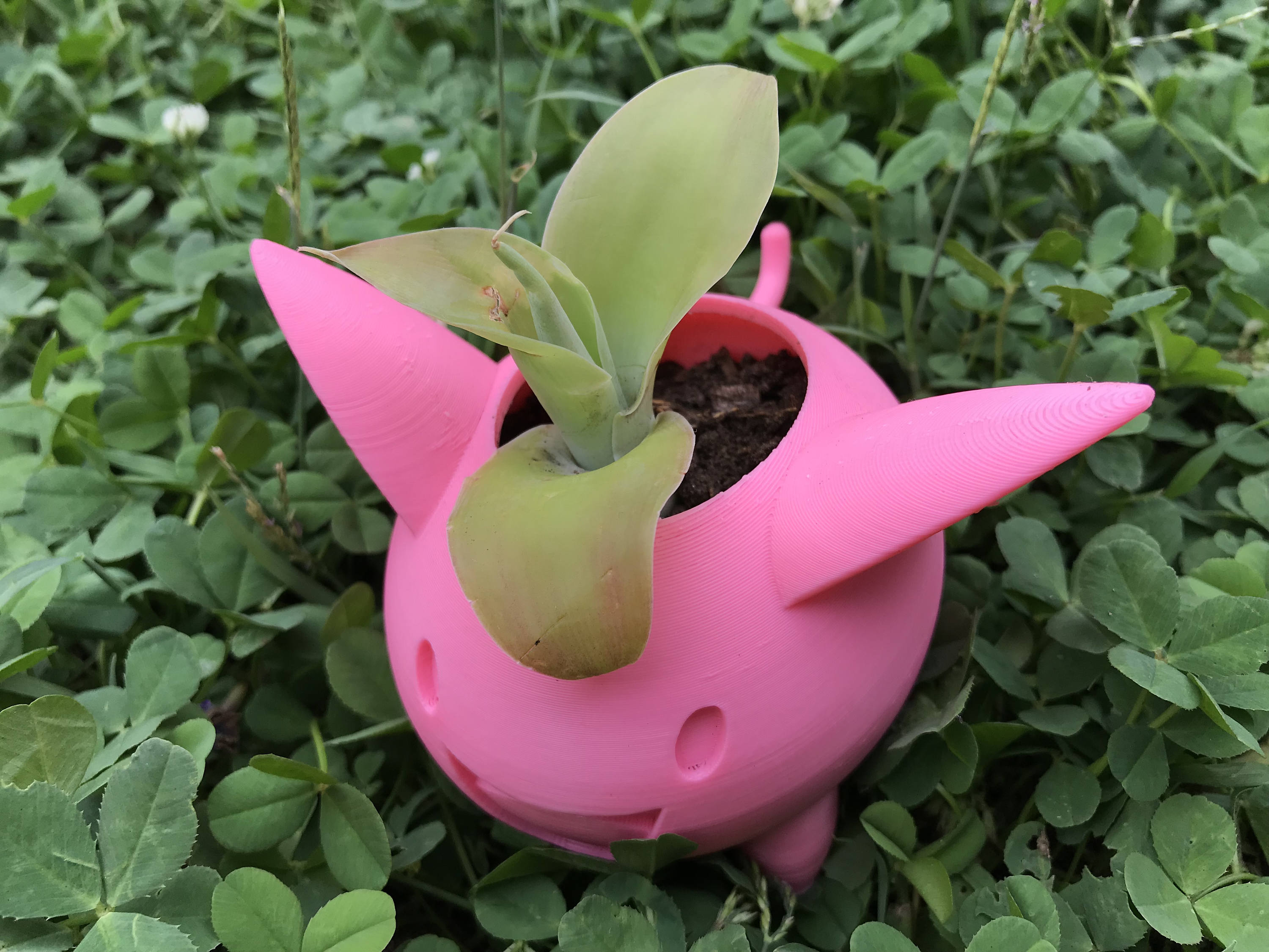 3D Printed Hoppip Pokemon Pot Planter Succulent | Etsy