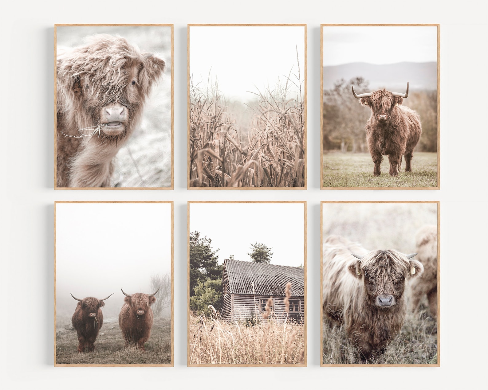 Farmhouse Print Set of 6 Rustic Wall Decor Highland Cow - Etsy