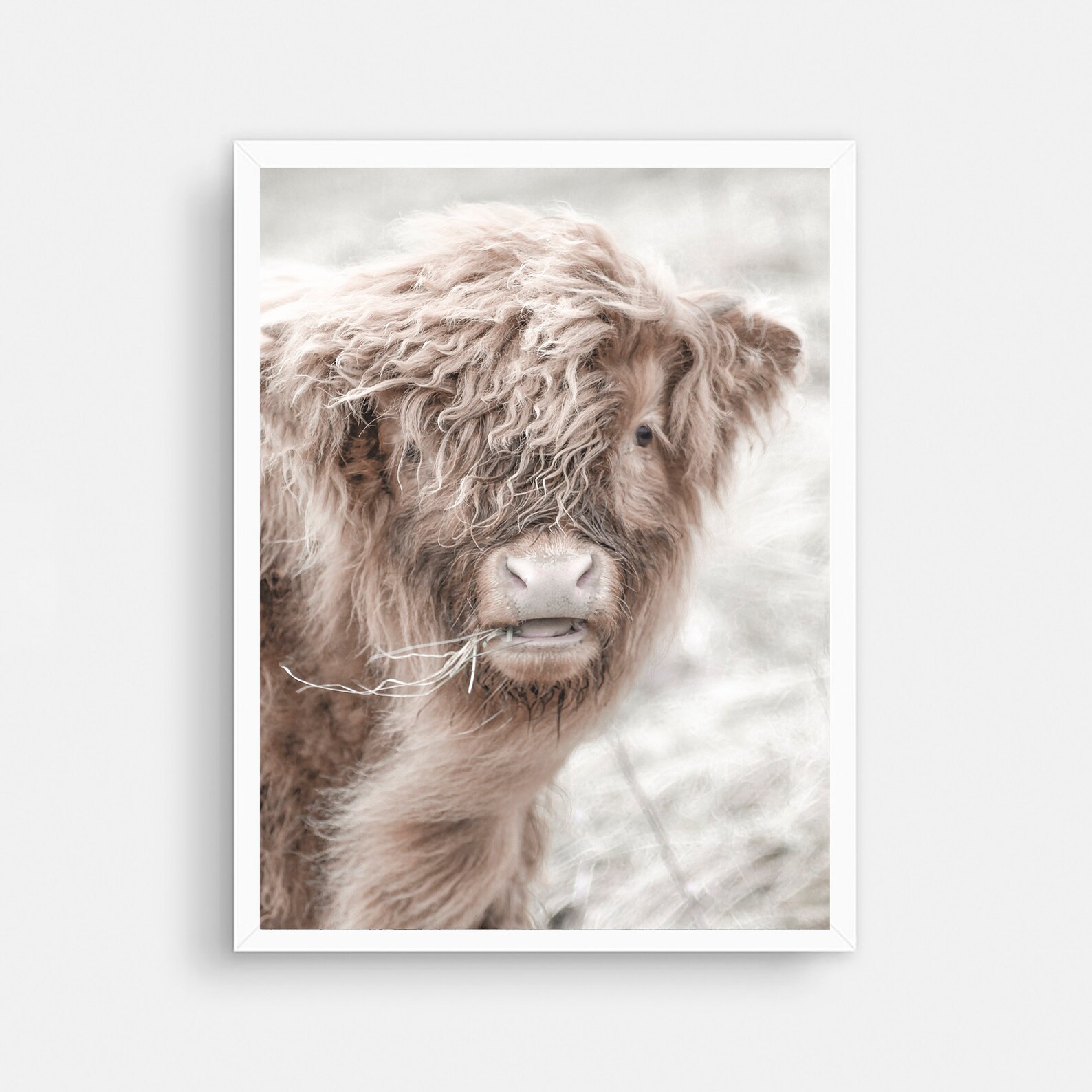 Highland Cow Print Scottish Highland Cow Farmhouse Decor | Etsy