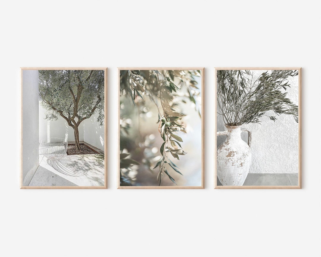 Olive Tree Print, Olive Branch Print Set of 3, Mediterranean Wall Art ...