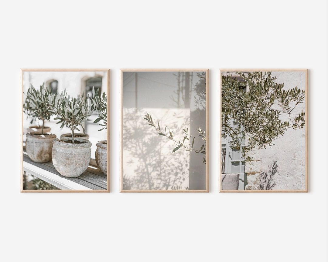 Olive Tree Art Print Set: Mediterranean Botanical Wall Decor (digital ...