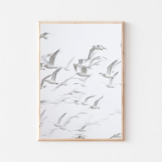 Flying Birds Print Ocean Print Bird Nature Photography - Etsy