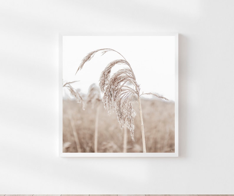 Pampas Grass Print Set of 4, Botanical Print, Farmhouse Print Set ...
