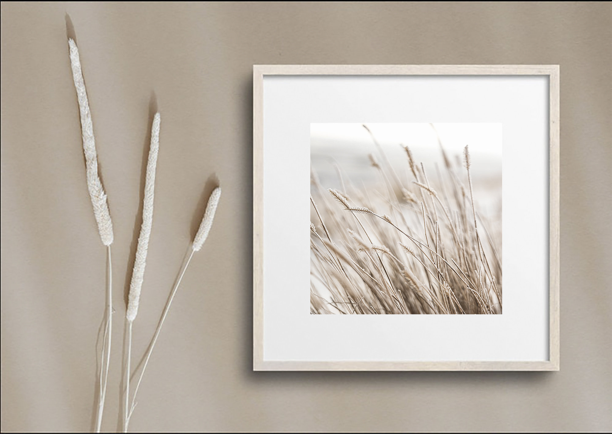 Pampas Grass Print Set of 4, Botanical Print, Farmhouse Print Set ...