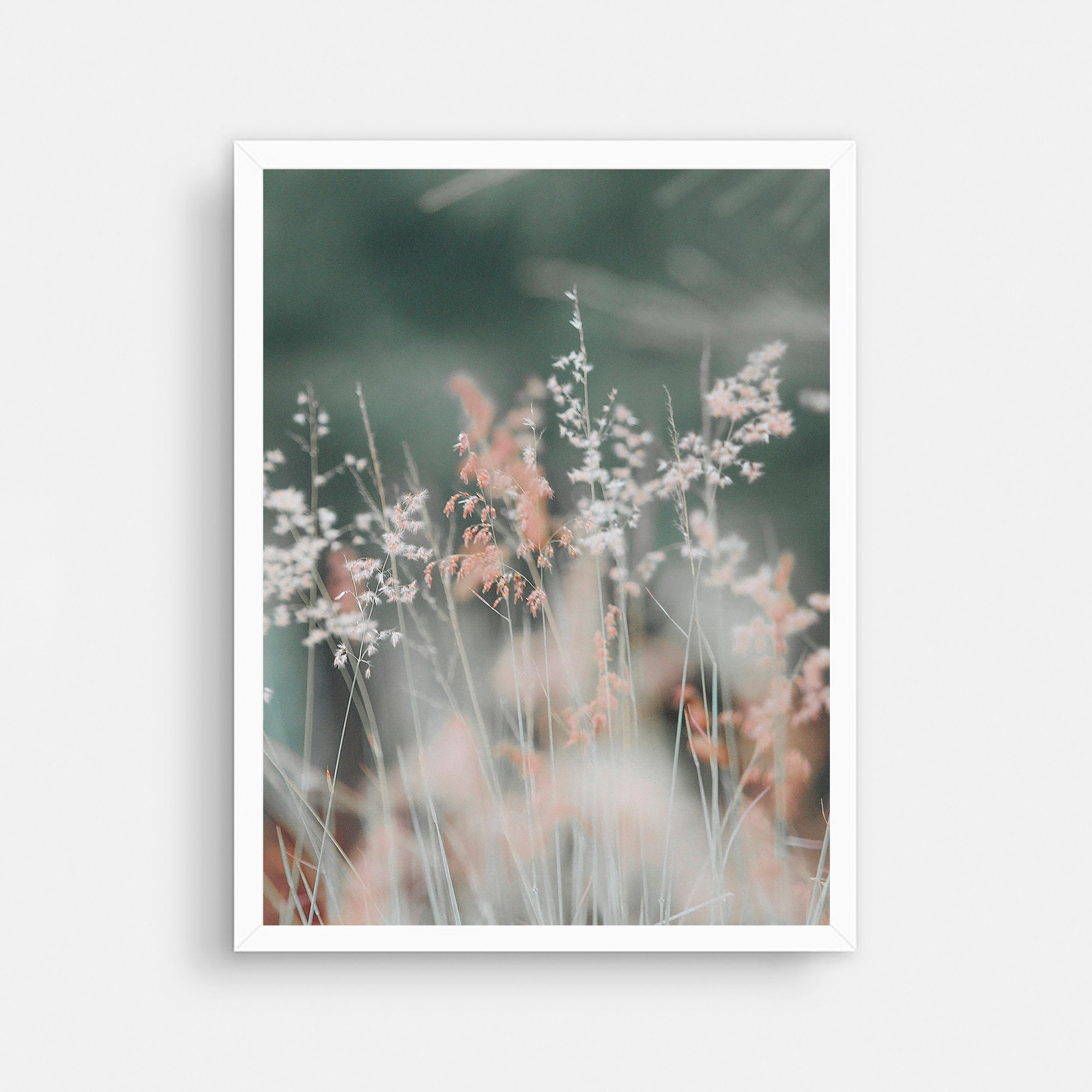 Dried Grass Print Botanical Print Farmhouse Pampas Grass | Etsy