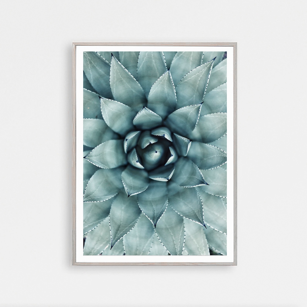 Cactus Succulent Print, Aloe Vera Printable, Botanical Wall Art ...