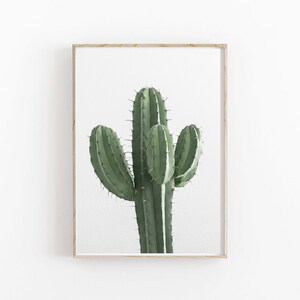 Cactus Print Set of 3, Modern Minimalist Poster, Succulent Print ...