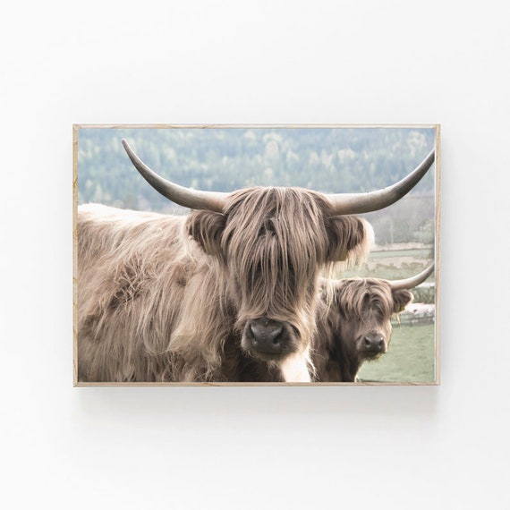 Highland Cow Print Scottish Highland Cow Farmhouse Decor - Etsy