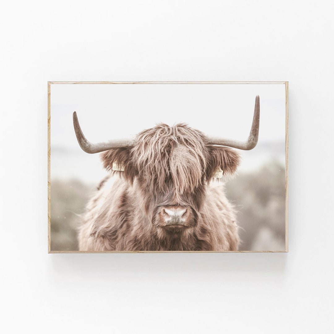 Highland Cow Print, Scottish Highland Cow, Farmhouse Decor, Printable ...