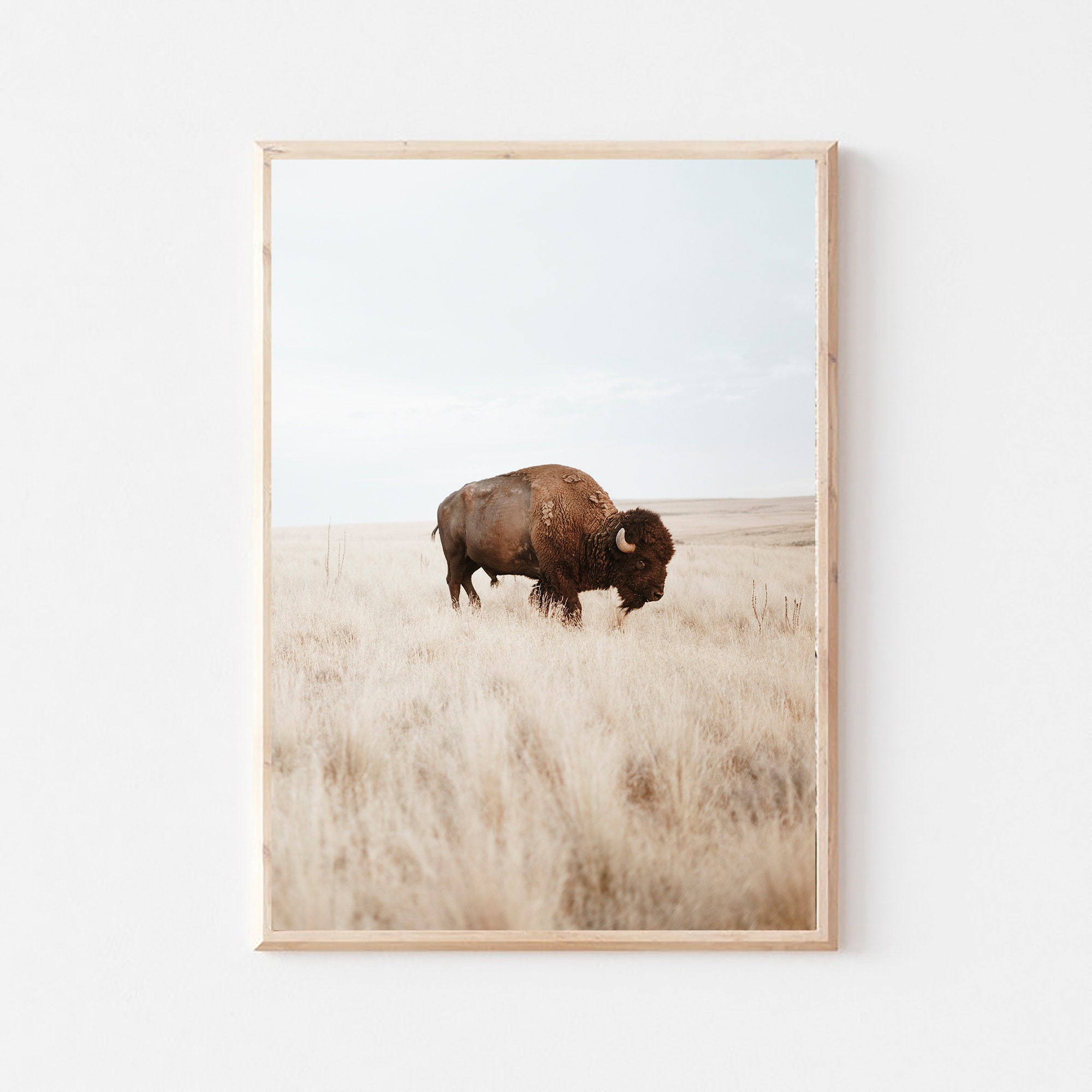 Buffalo Print Bison Wall Art Nursery Decor Bison Print - Etsy