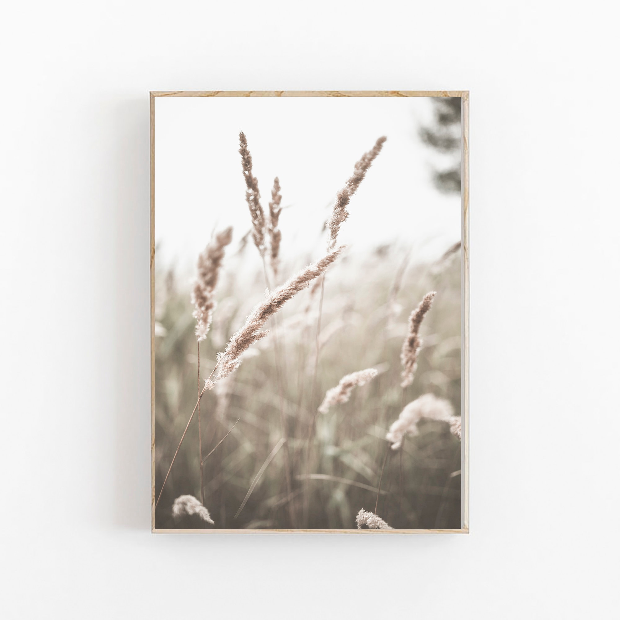 Dried Grass Print Wild Grass Print Botanical Art Farmhouse - Etsy