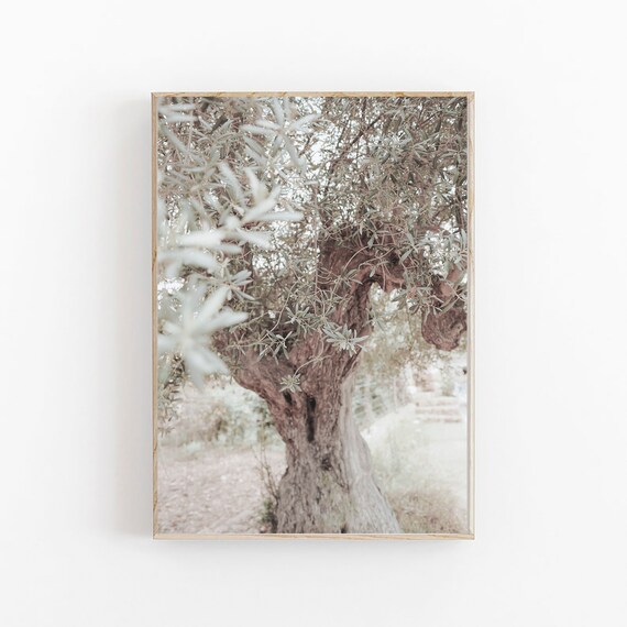 Olive Tree Print Botanical Print Mediterranean Olive Tree | Etsy
