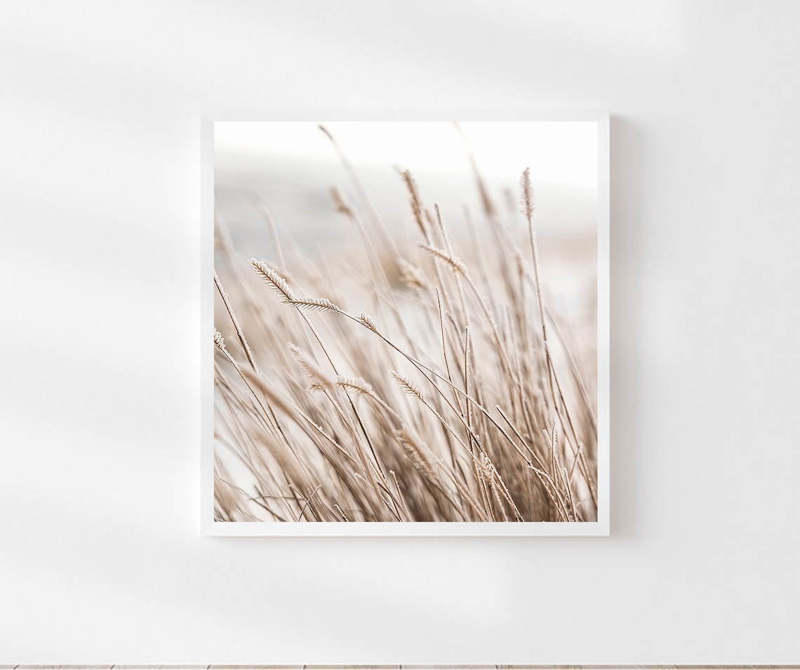 Pampas Grass Print Set of 4, Botanical Print, Farmhouse Print Set ...