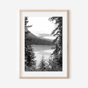 Nature Prints, Black and White Prints, Landscape Prints Set, Forest ...