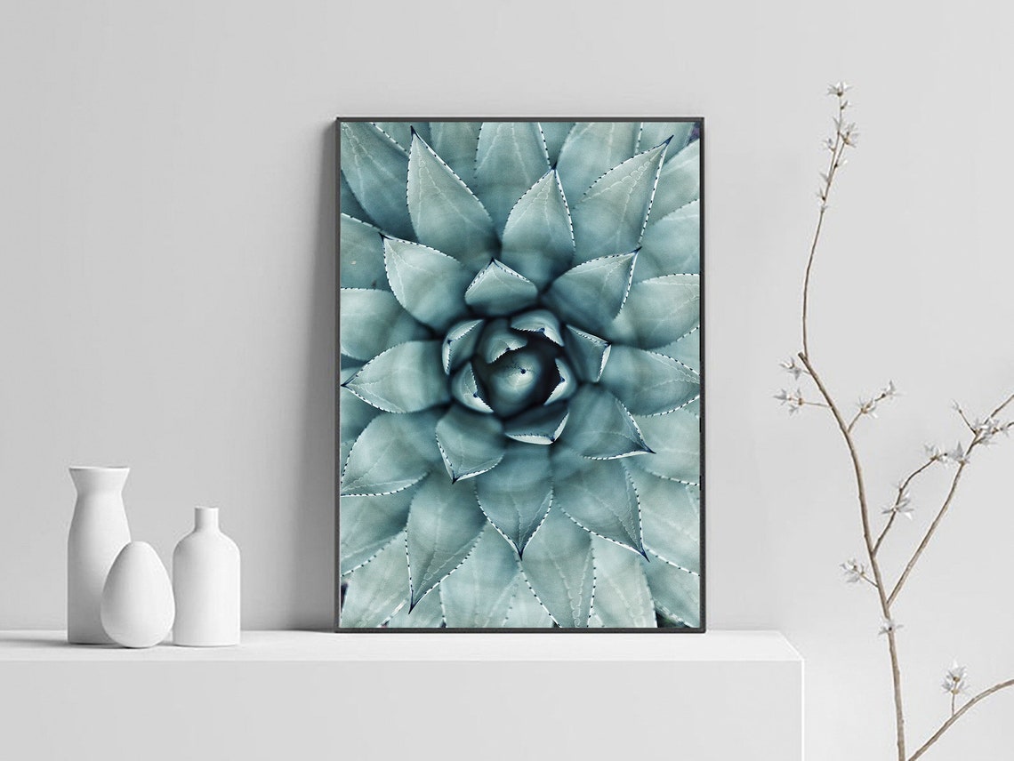 Cactus Succulent Print, Aloe Vera Printable, Botanical Wall Art ...