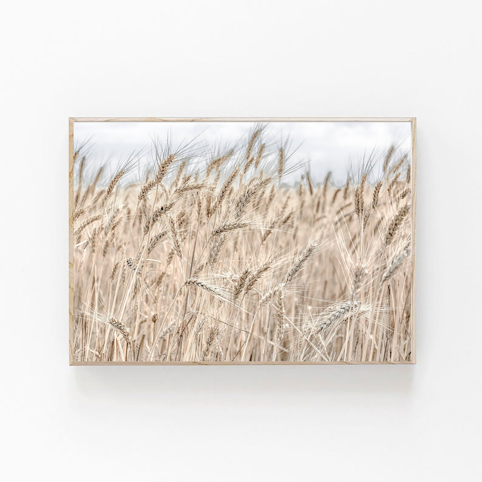 Wheat Field Wall Art Wheat Field Print Farmhouse Art Beige - Etsy