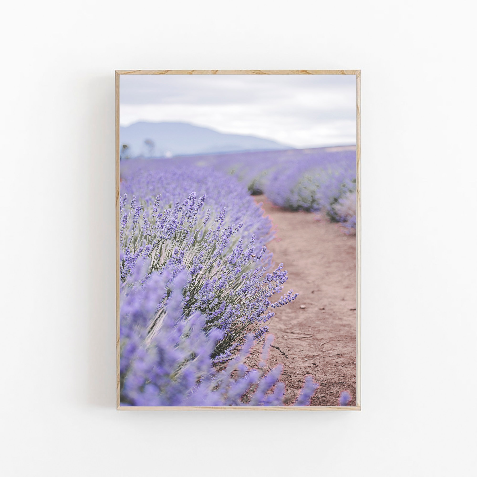 Lavender Prints Set Floral Print Flowers Wall Art Botanical - Etsy