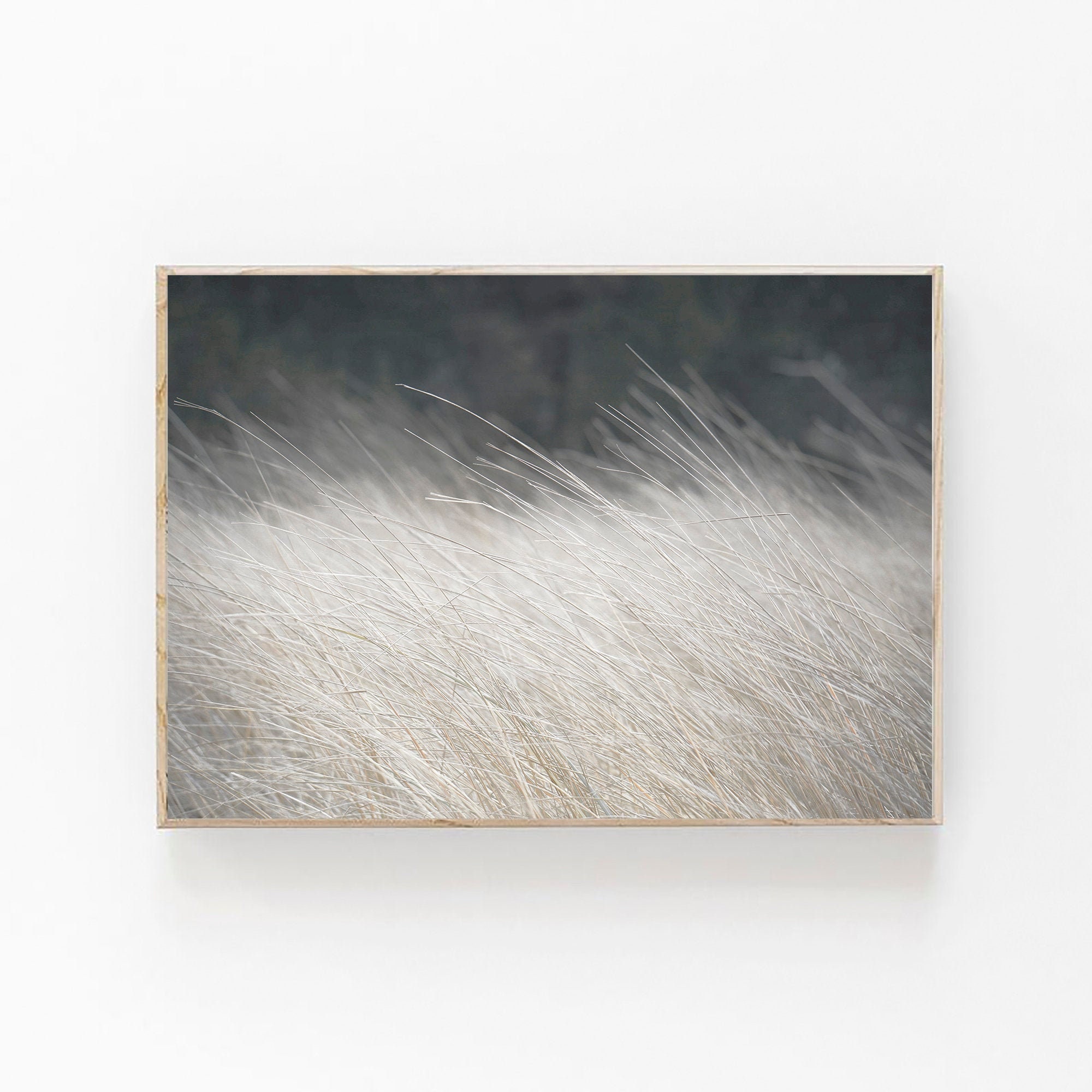 Dried Grass Print Pampas Grass Print Modern Minimalist - Etsy
