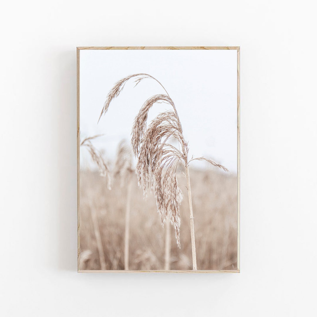 Pampas Grass Print, Farmhouse Art, Botanical Print, Dried Grass Print ...