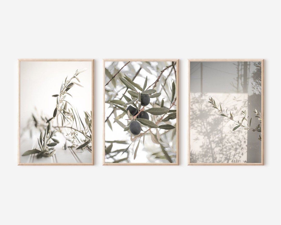 Olive Tree Art Print, Olive Branch Print Set of 3, Olive Tree Wall Art ...