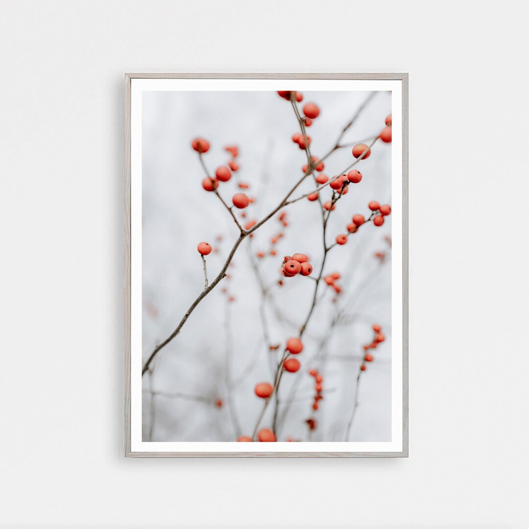 Red Berries Print, Winter Red Berries Photo, Winter Home Decor, Red ...
