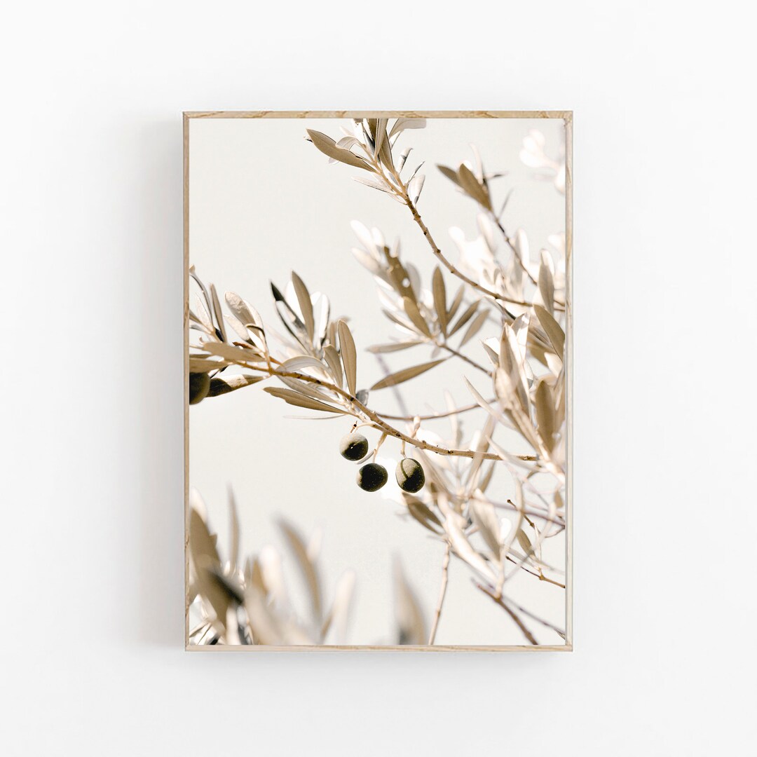 Olive Print, Botanical Art Print, Botanical Poster, Olive Art, Plant ...