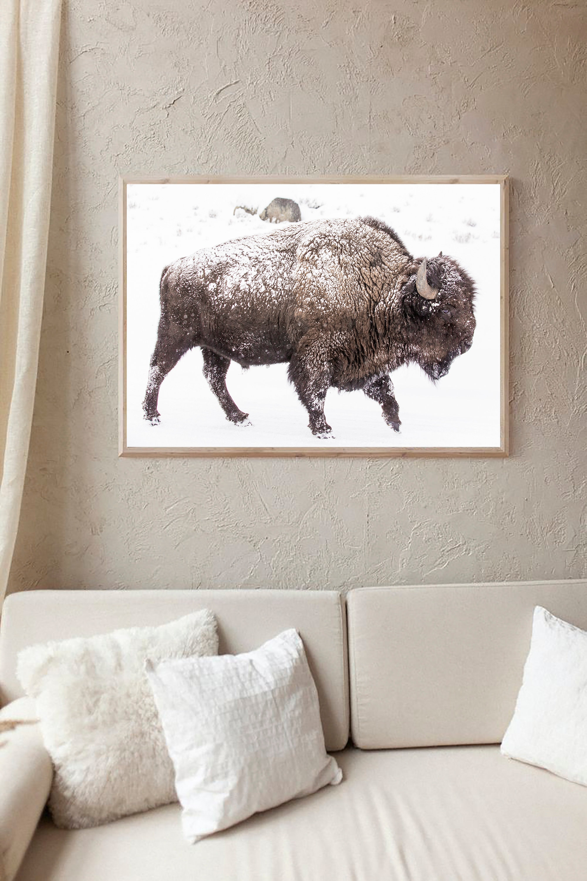Bison Print Buffalo Wall Art Buffalo Print American Bison - Etsy