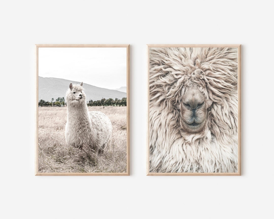 Alpaca Print Set of 2, Alpaca Wall Art, Alpaca Printable, Llama Print ...