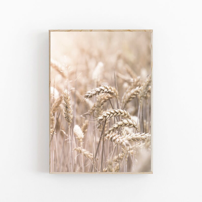 Wheat Field Print Farmhouse Decor Set of 2 Prints Beige Art - Etsy
