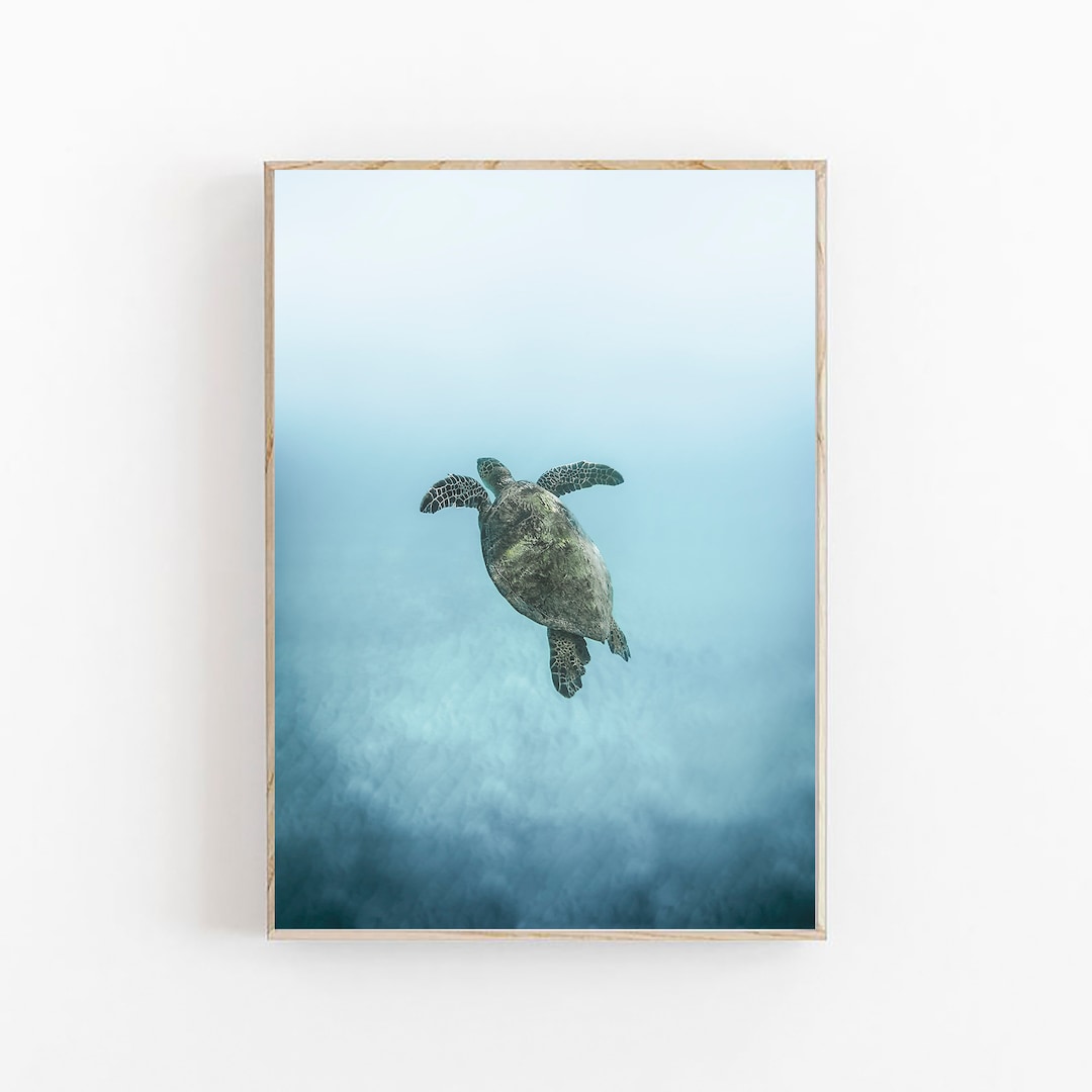 Sea Turtle Art Print Turtle Poster Turtle Print Coastal - Etsy