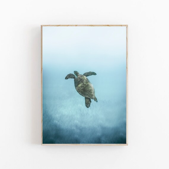 Sea Turtle Art Print Turtle Poster Turtle Print Coastal - Etsy