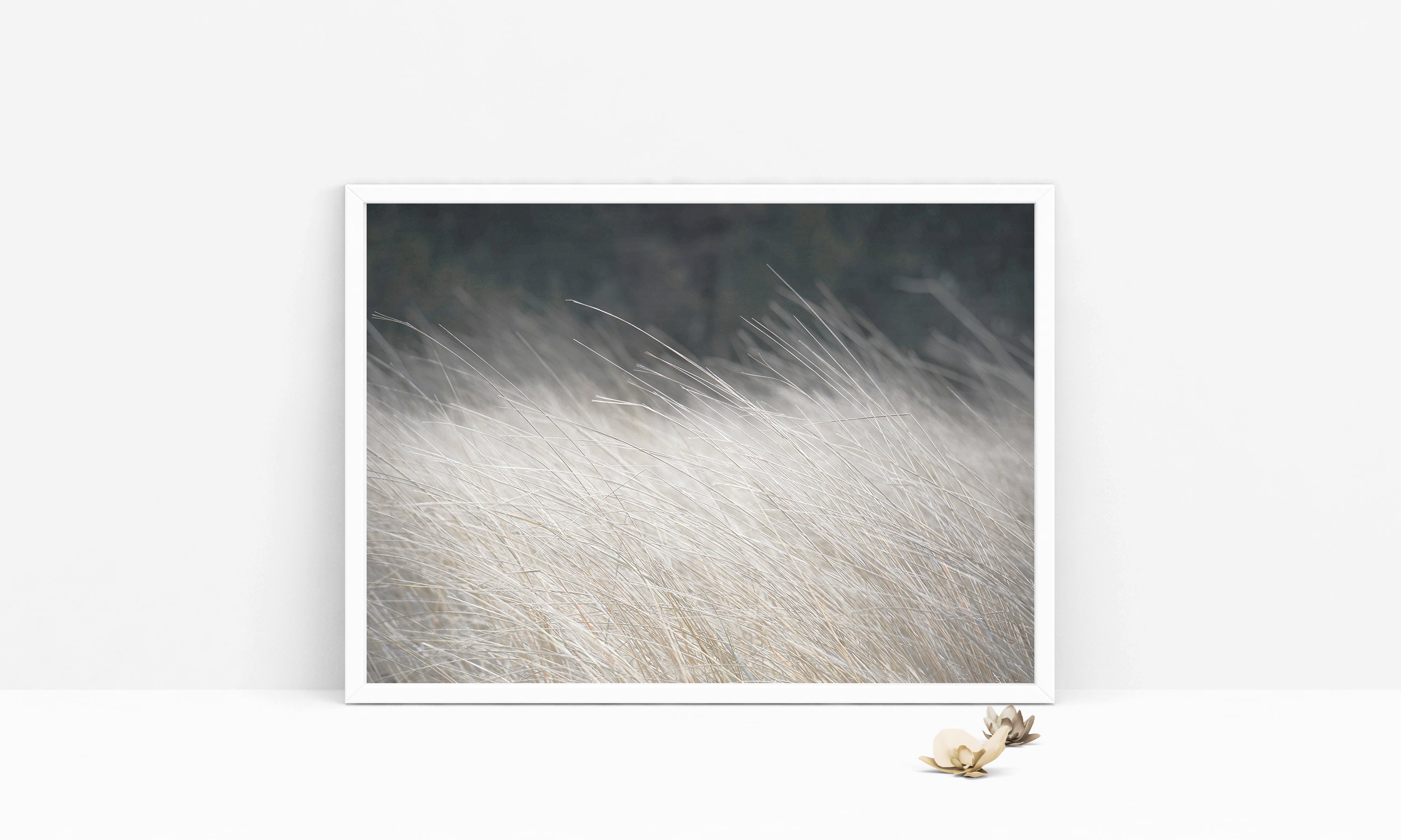 Dried Grass Print, Pampas Grass Print, Modern Minimalist Poster, Nature ...