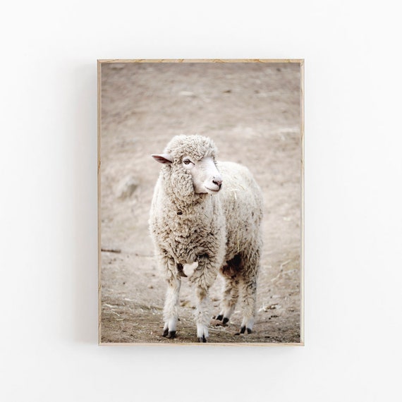 Sheep Print Farmhouse Sheep Poster Farm Animal Print Sheep | Etsy