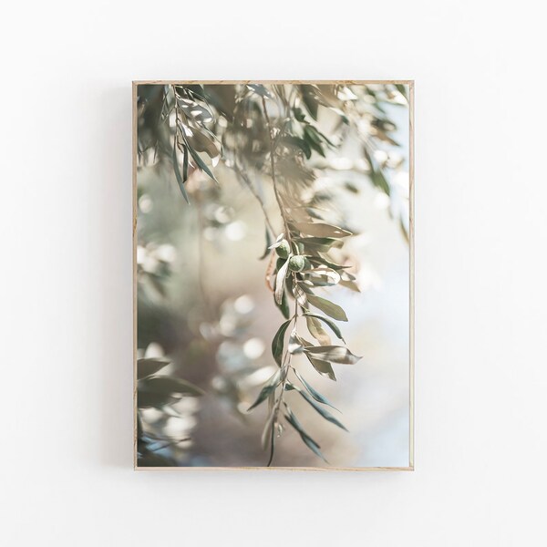 Olive Branch - Etsy