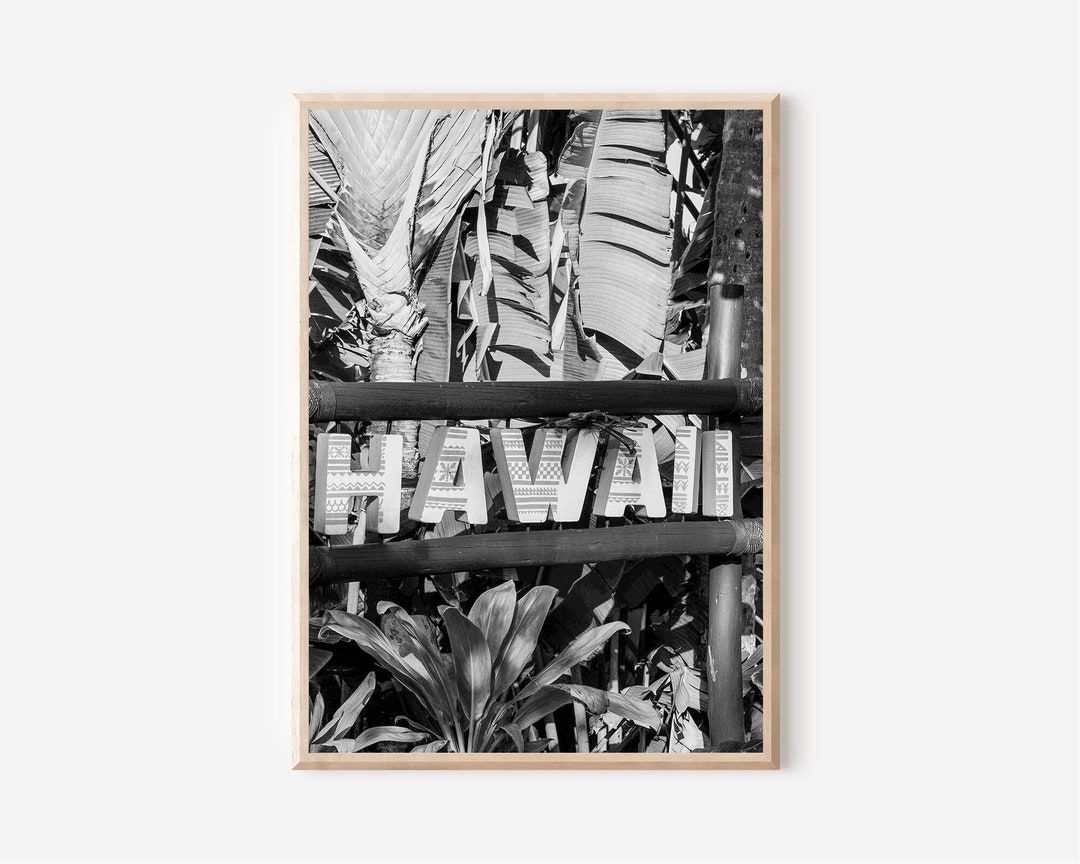 Black and White Hawaii Palm Tree Art Print (digital Download) - Etsy UK