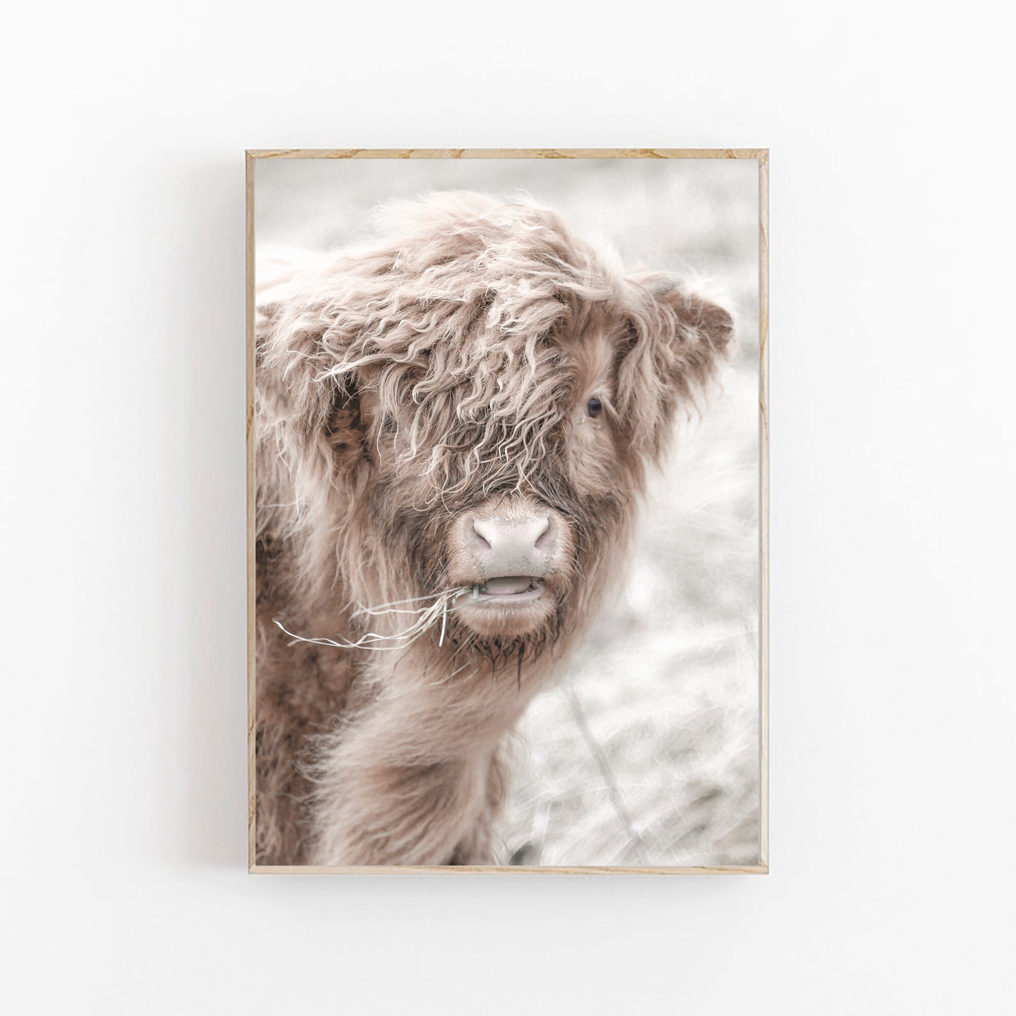 Farmhouse Print Set of 6 Rustic Wall Decor Highland Cow - Etsy
