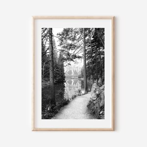 Nature Prints, Black and White Prints, Landscape Prints Set, Forest ...