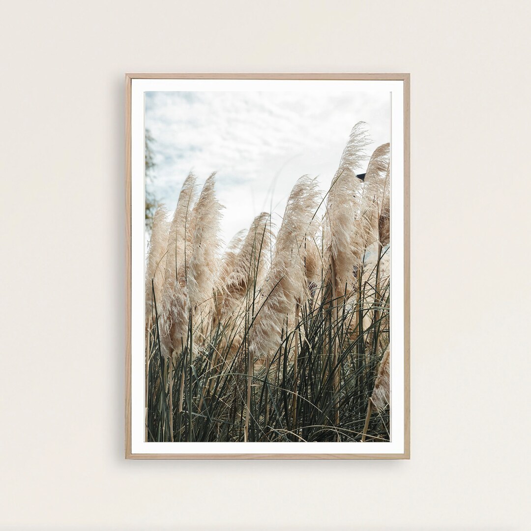 Pampas Grass Print, Botanical Print, Modern Minimalist Poster, Modern ...