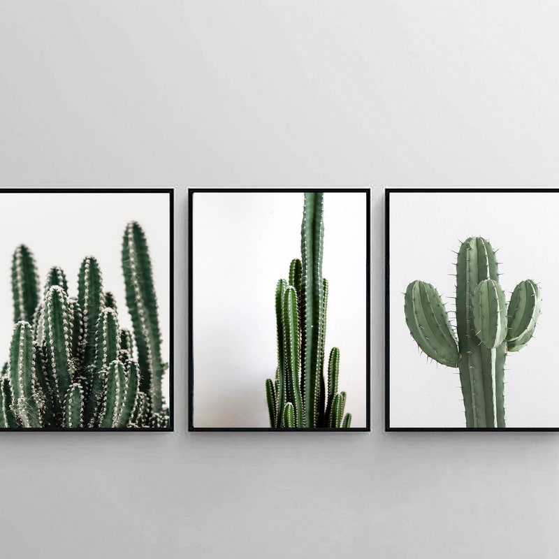 Cactus Art Print - Etsy