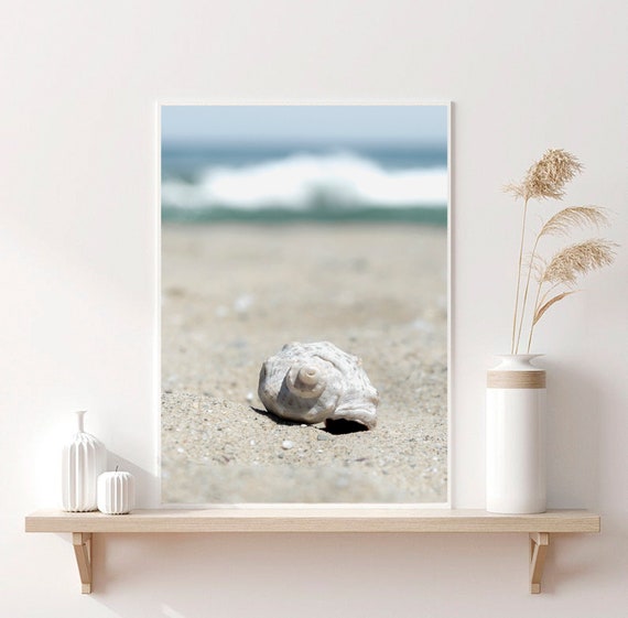 Sea Shells Wall Decor Sea Shells Art Digital Download Sand | Etsy